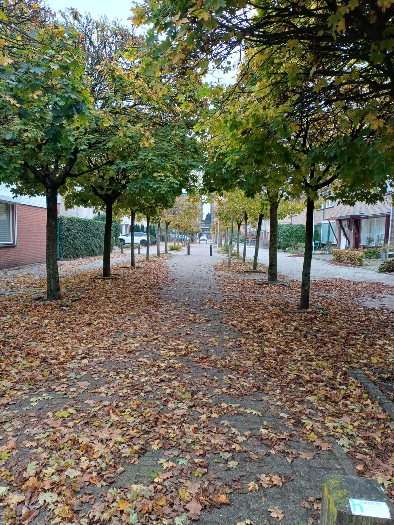 Onze toepassing van kennis over verzilting en geohydrologie ...